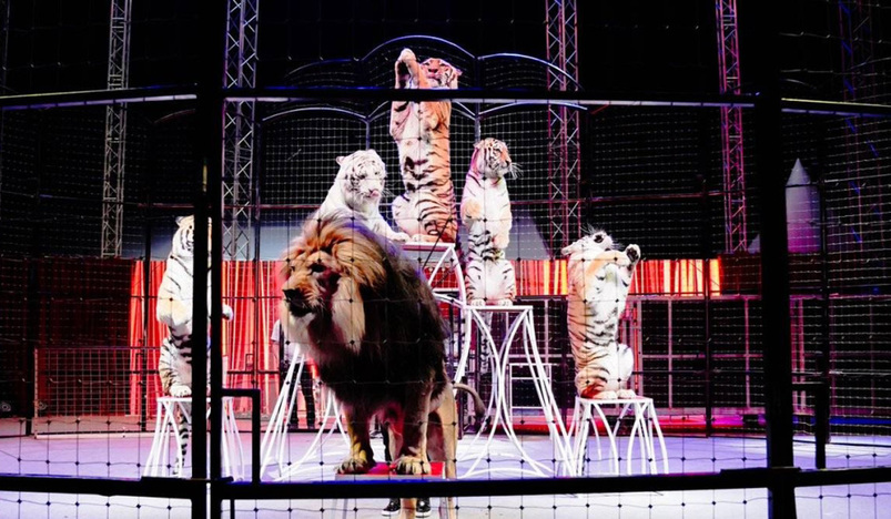 International circus at Souq Al Wakrah extended